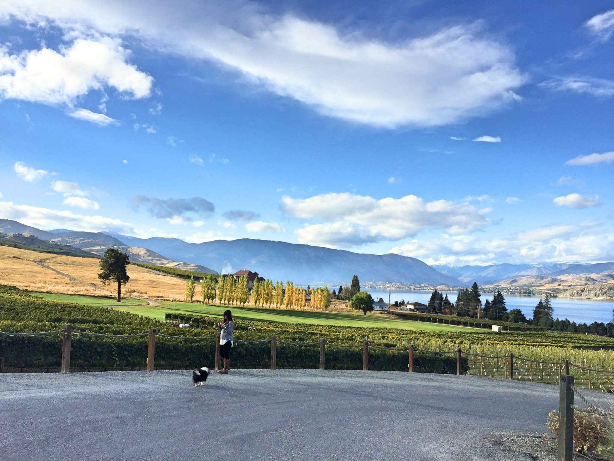 Wine Wednesday at Tsillan Cellars Winery in Lake Chelan