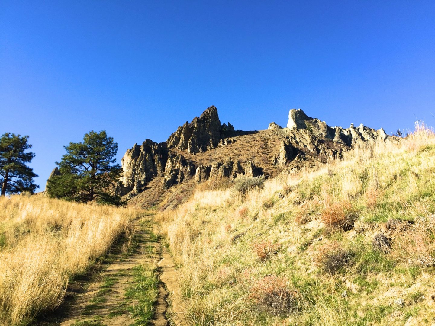 How to Spend a Weekend in Wenatchee • TheJJAdventures
