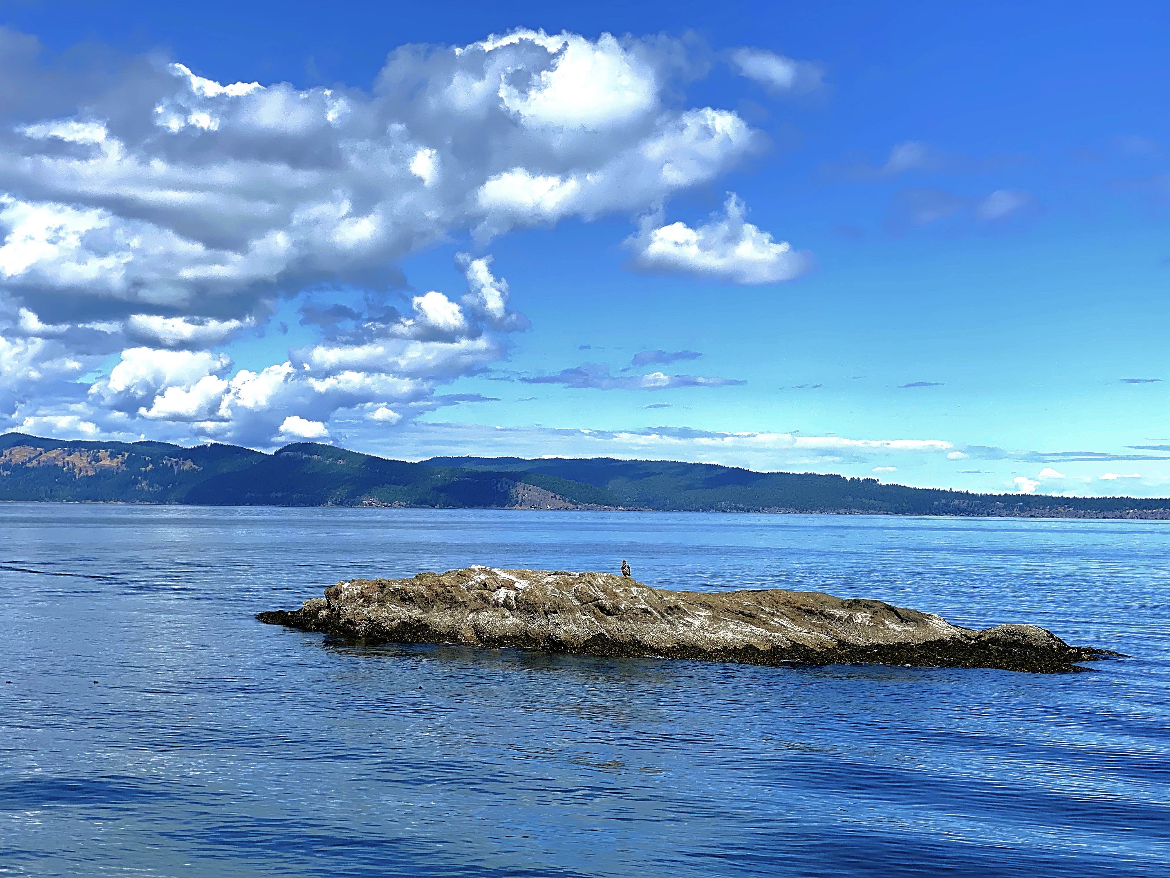 Orcas Island: A Weekend Getaway Guide • TheJJAdventures