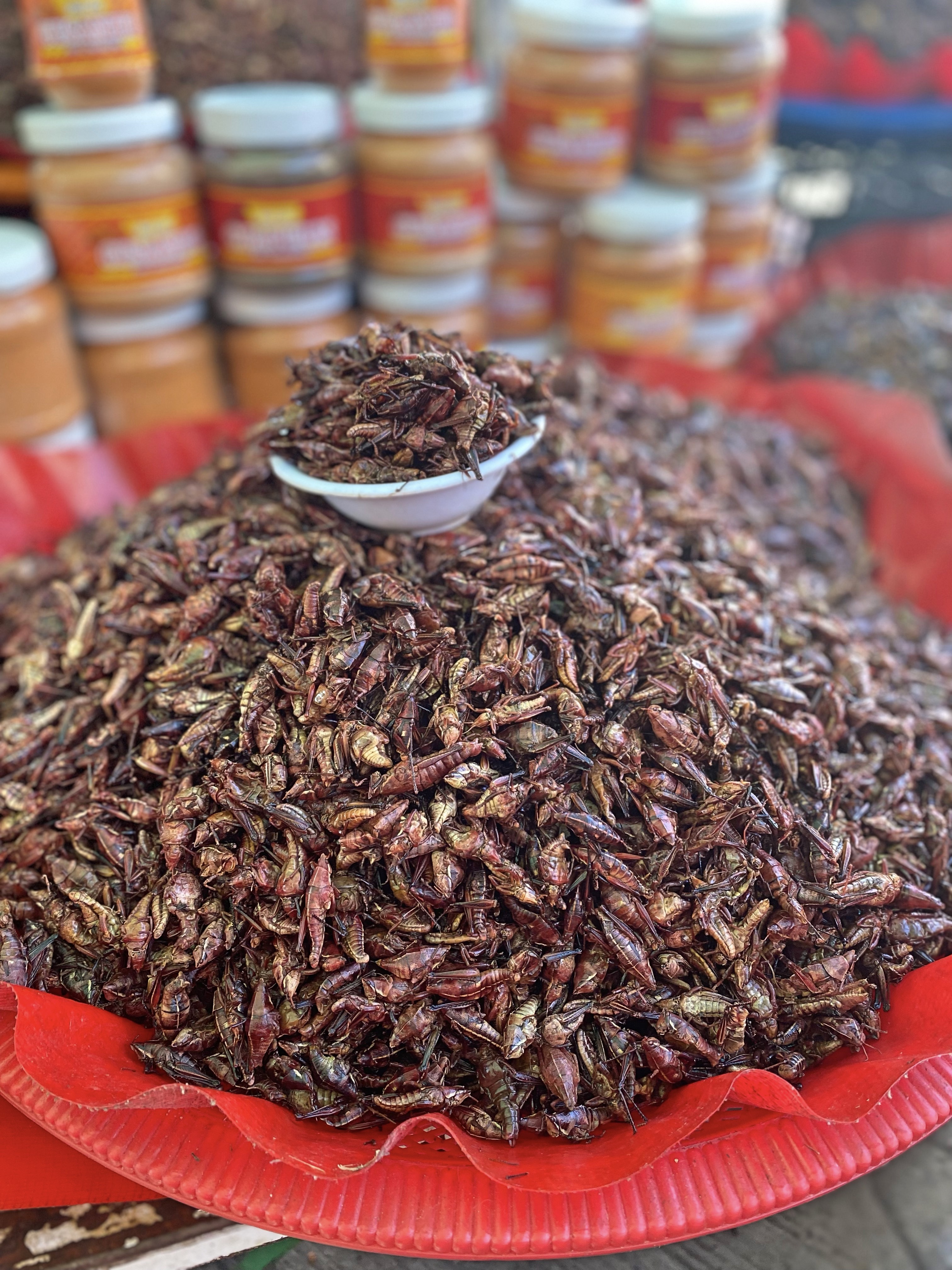 A Complete Guide to Visiting Oaxaca • TheJJAdventures