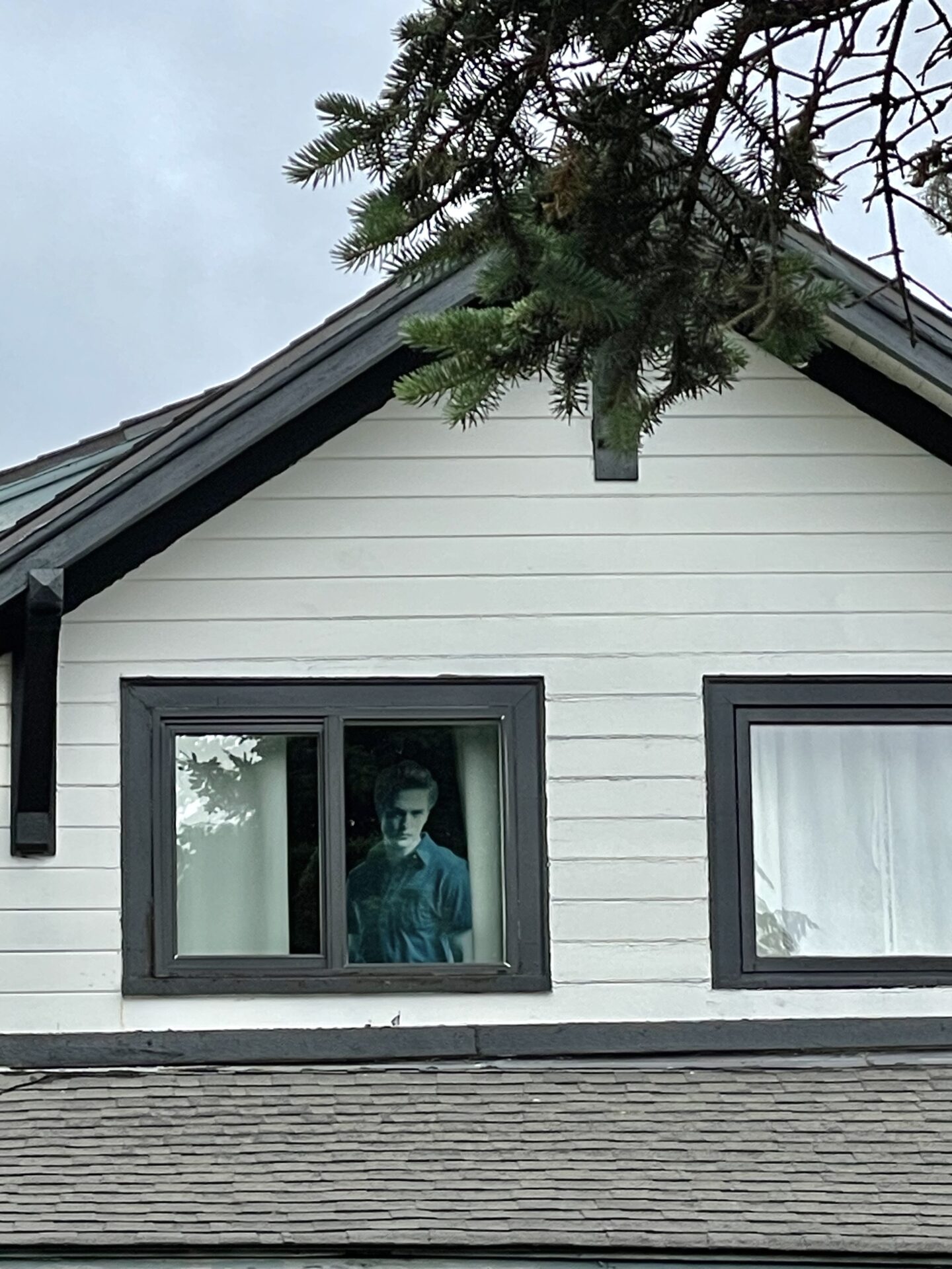 Don't Miss the Ultimate Twilight Experience in Forks, Washington ...
