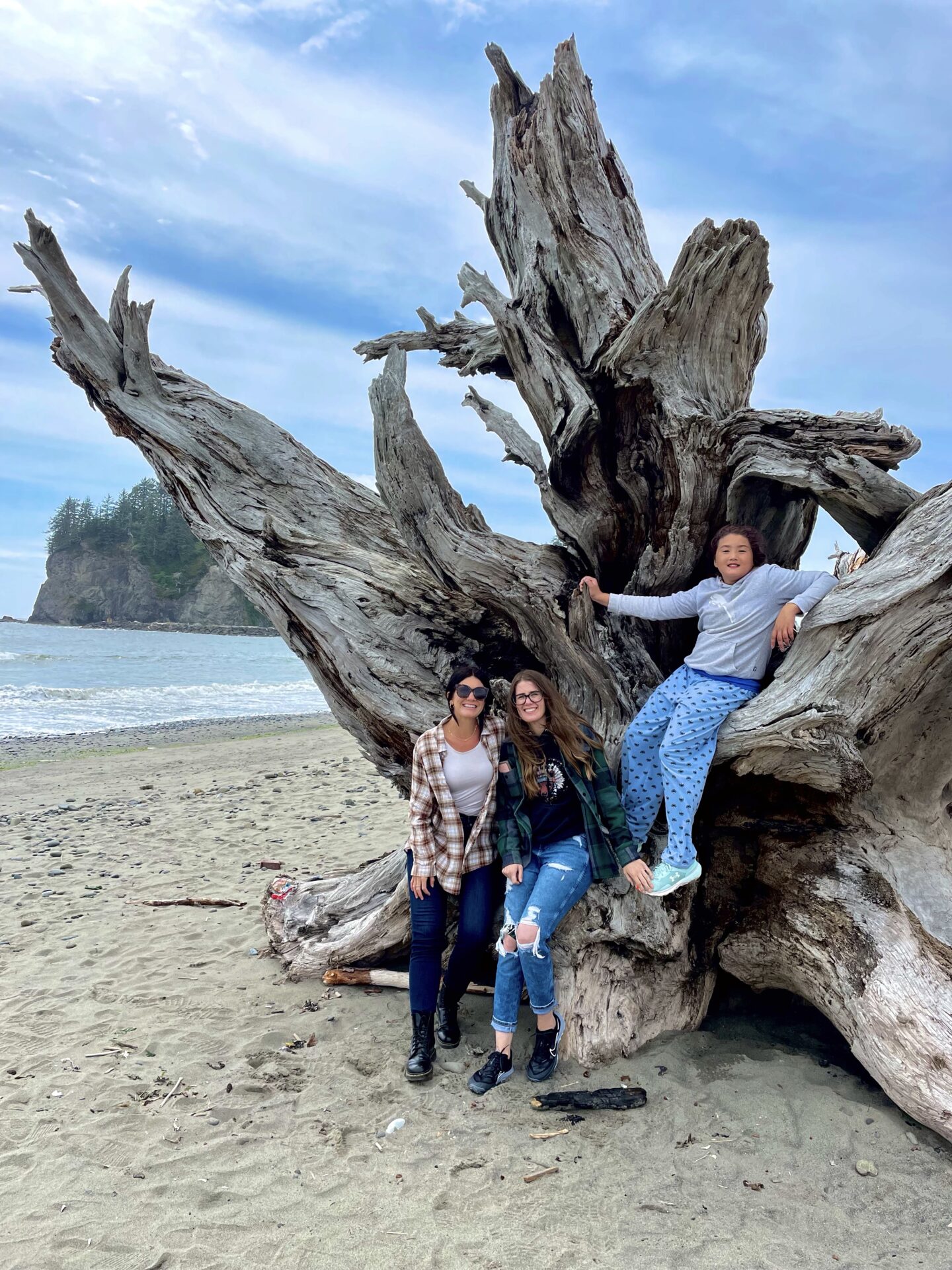 Don't Miss the Ultimate Twilight Experience in Forks, Washington ...