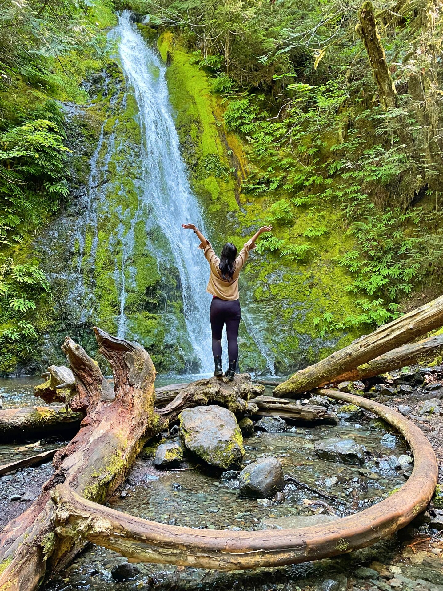 Olympic Peninsula Road Trip: A 5-Day Itinerary + Photos • TheJJAdventures